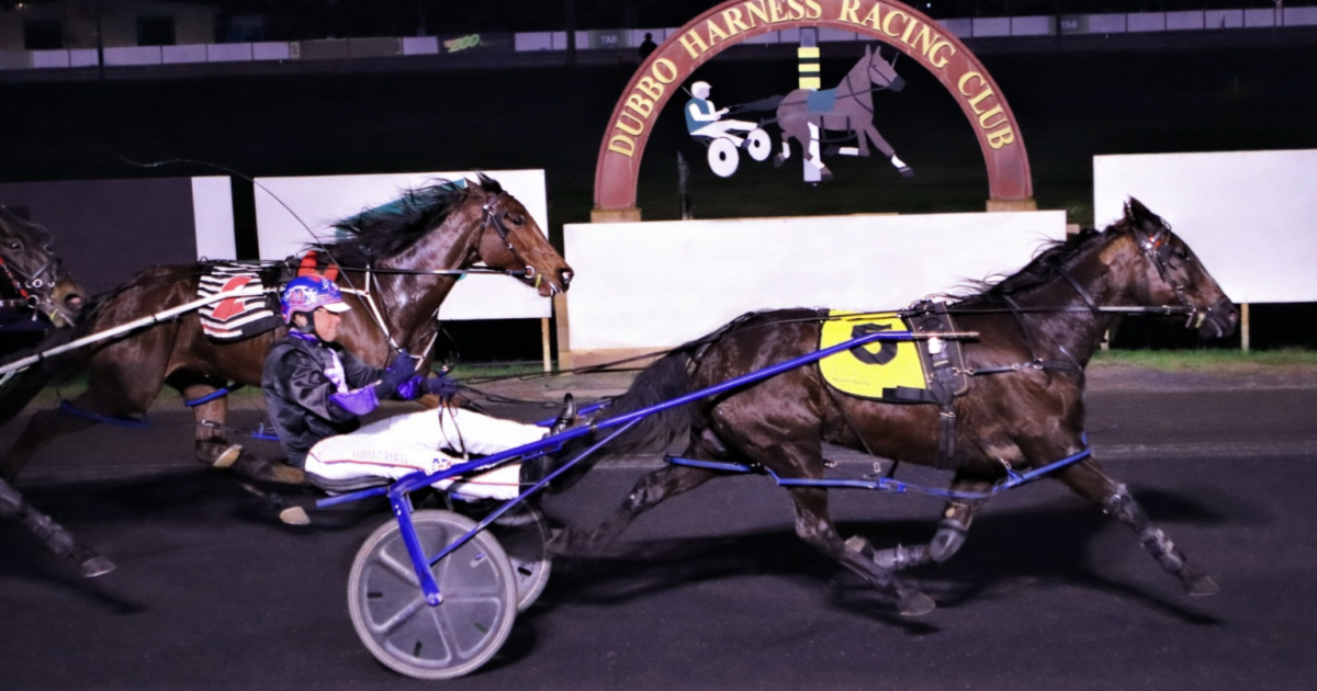 Dubbo Harness Racing • Dubbo Region