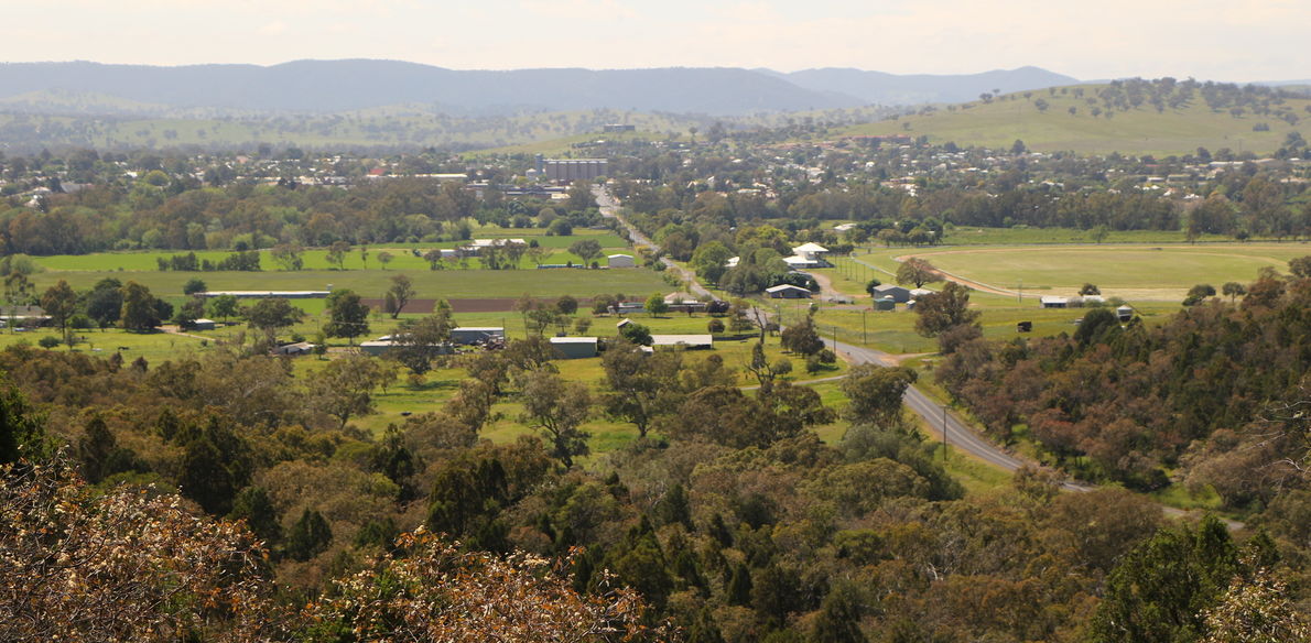 Mount Arthur Reserve • Dubbo Region